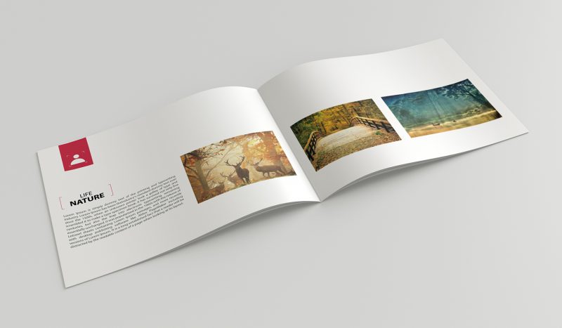 Free Photography Catalogue - Graphic Google - Tasty Graphic Designs ...