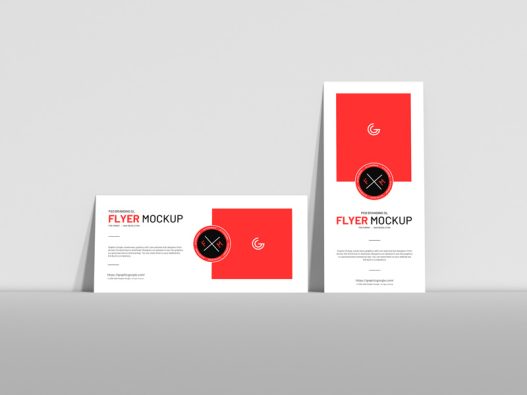 Free PSD Branding Dl Flyer Mockup - Graphic Google - Tasty Graphic ...